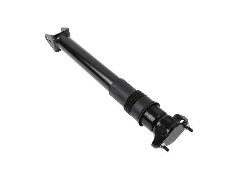 Arnott Industries SK2868 Shock Absorber; Rear