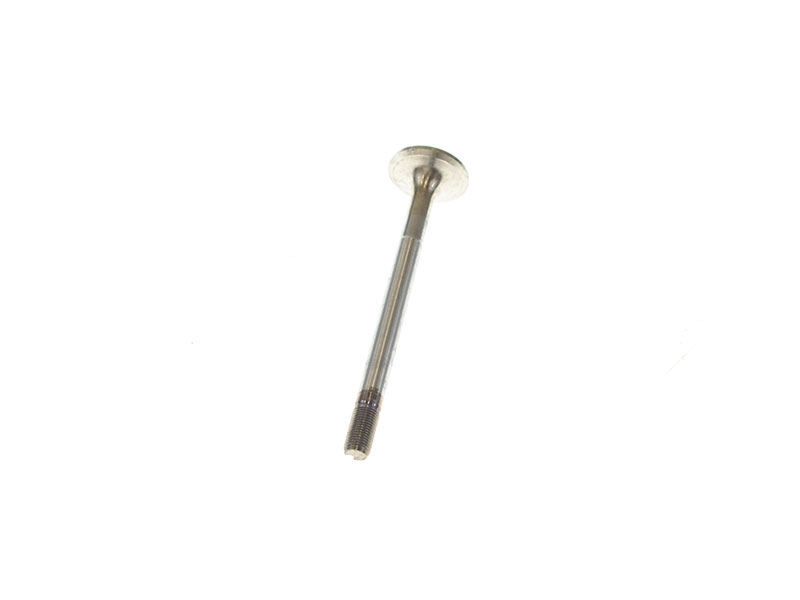 TRW 6170500027, 261117 Exhaust Valve - Mercedes
