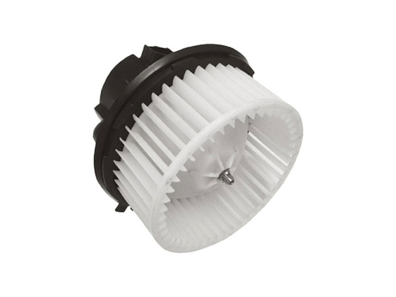 TYC 700013 Blower Assembly; Front - Ford, Mercury | 3010008 35009 ...
