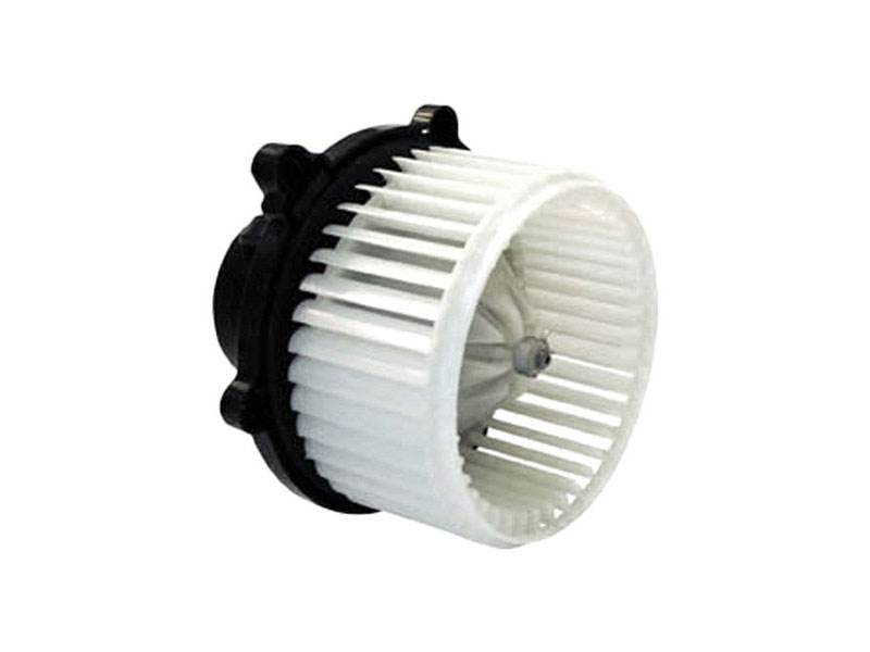 TYC 700138 Blower Assembly; Front - Kia | 75775 971132F000 KI3126103 PM9252