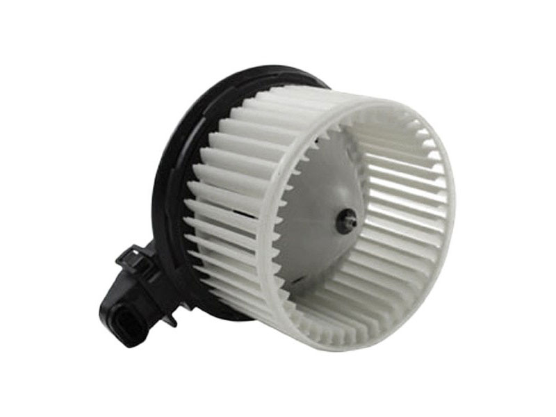 TYC 700225 Blower Assembly; Front - Ford, Lincoln | 75894 7L1Z19805D ...