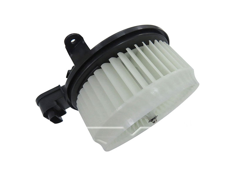 TYC 700313 Blower Assembly; Front - Lexus | 8710333110