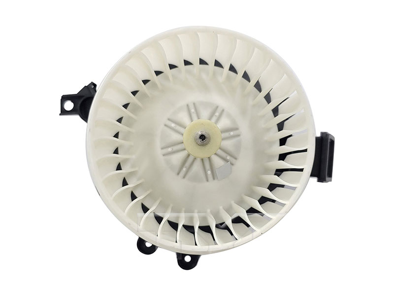 TYC 700351 Blower Assembly; Front - Jeep | 68266039AA