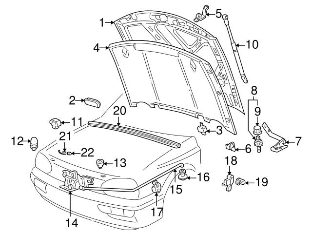Genuine VW/Audi 1H0823723A Hood Seal; Rear - VW | VW1H0823723A