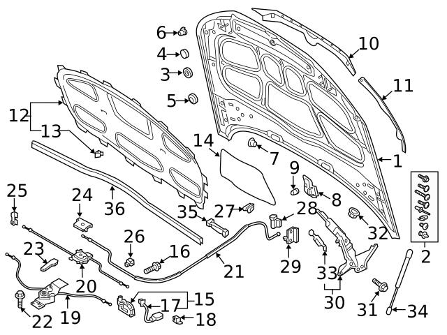 Genuine VW/Audi 8W6823125 Fender Protection Film; Left - Audi | AU8W6823125