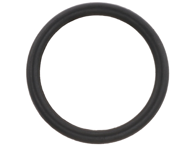 Victor Reinz N90465004, 407617000 Timing Cover O-Ring - Porsche