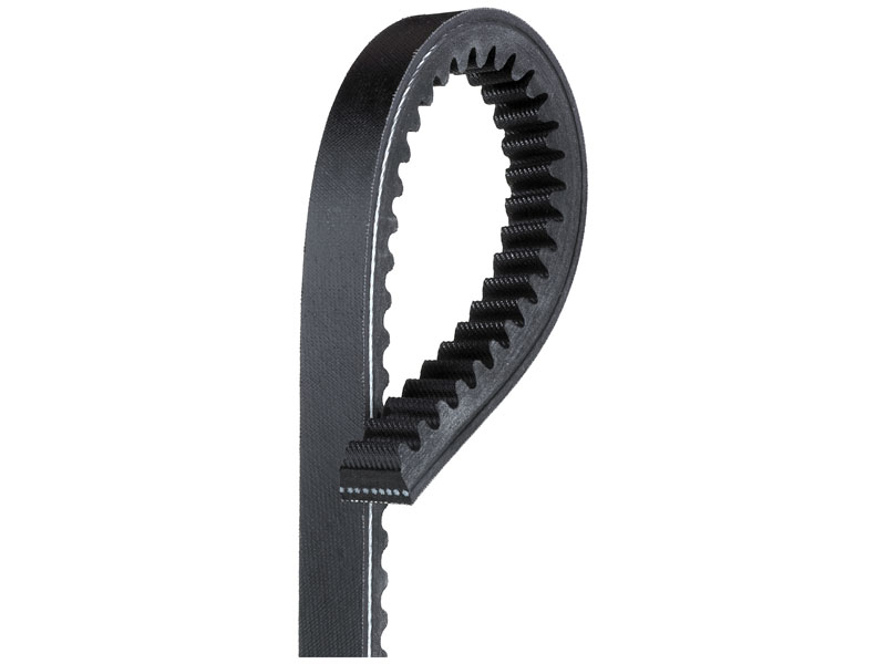 Gates TR20544 V Belt/Drive Belt; Truck Bus V-Belt